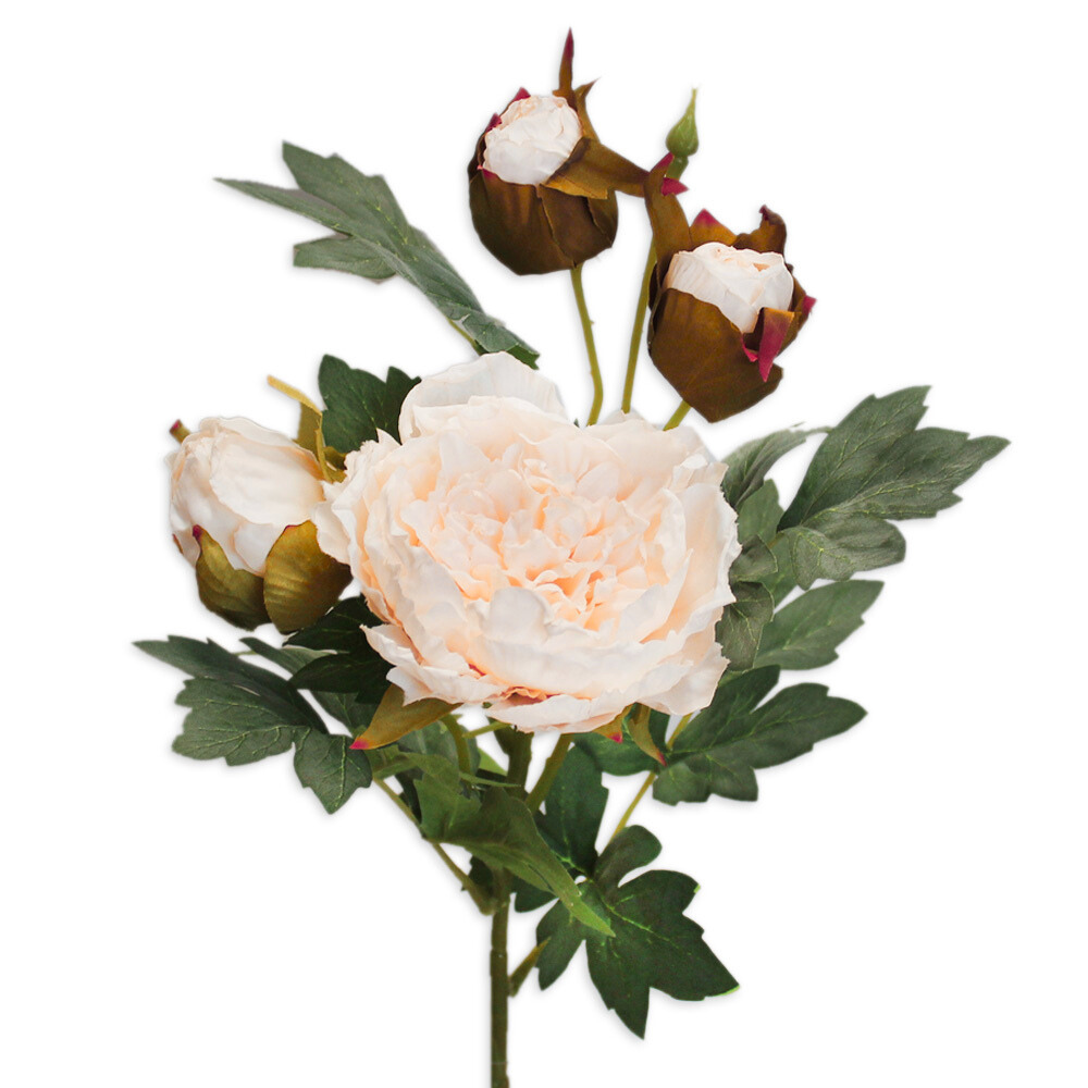 UK Pivoňky keřík pvc x4/79cm béžové | KLIA.cz